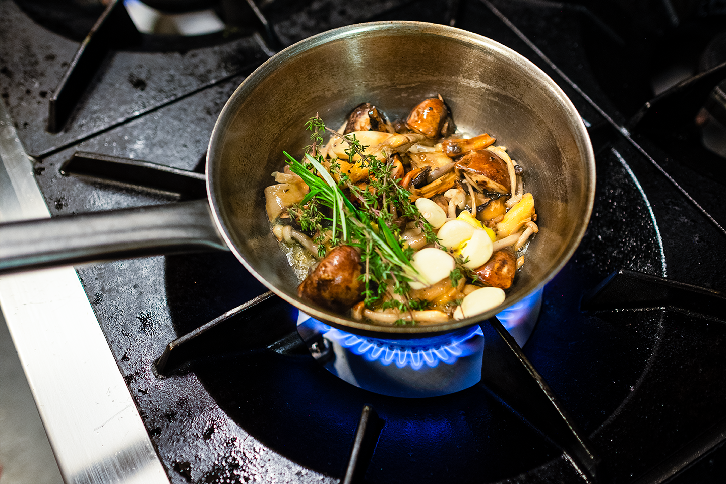 Apprenez tout sur Delizio | Delizio